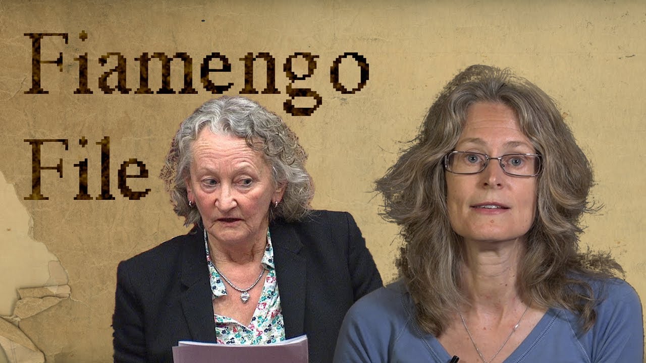 Janice Fiamengo: Yeah, A Curfew For Men – A Voice for Men