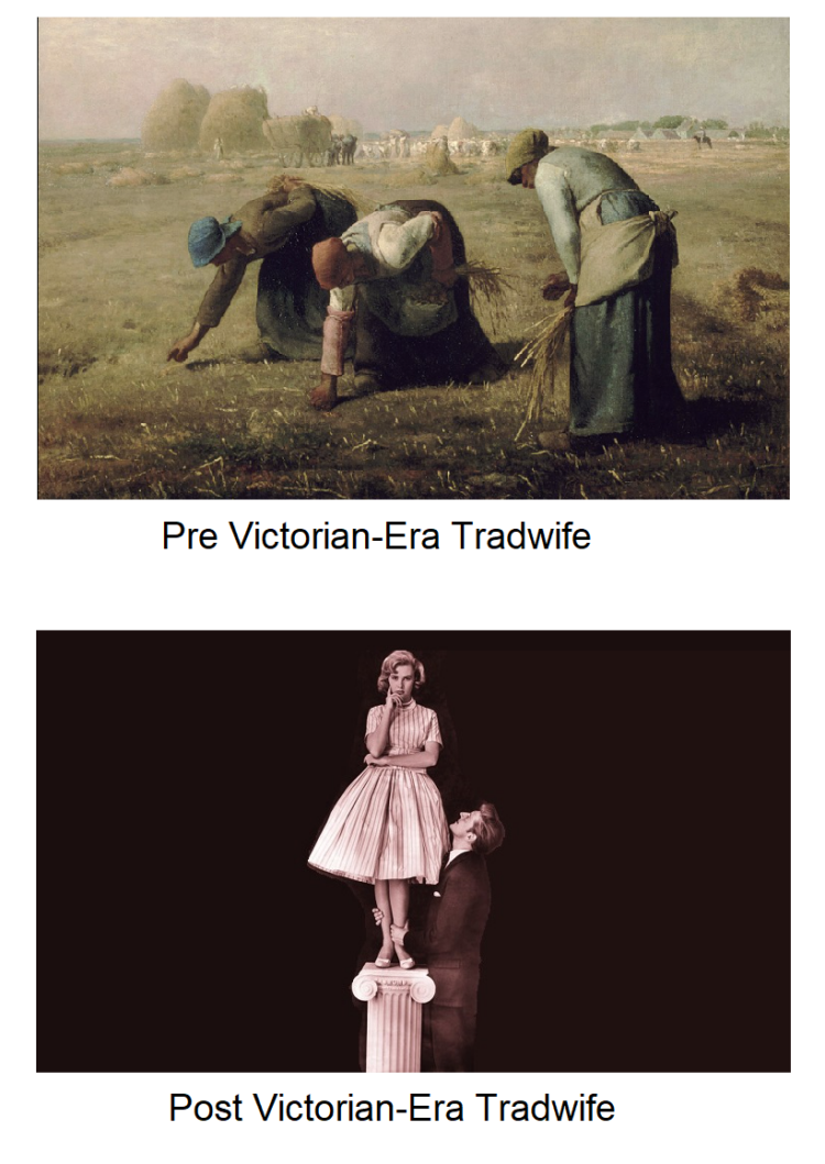 The Tradwife Revisited – A Voice for Men